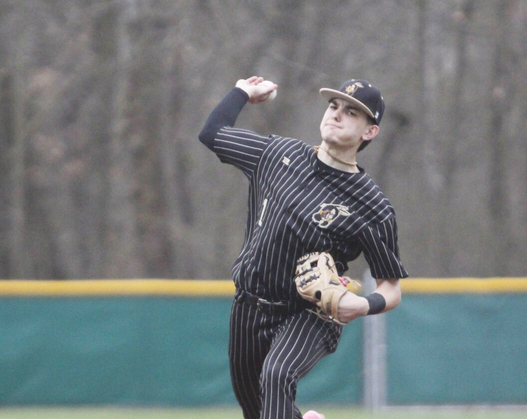 Harding baseball wins big again, blows out Niles 12-2 | News, Sports ...